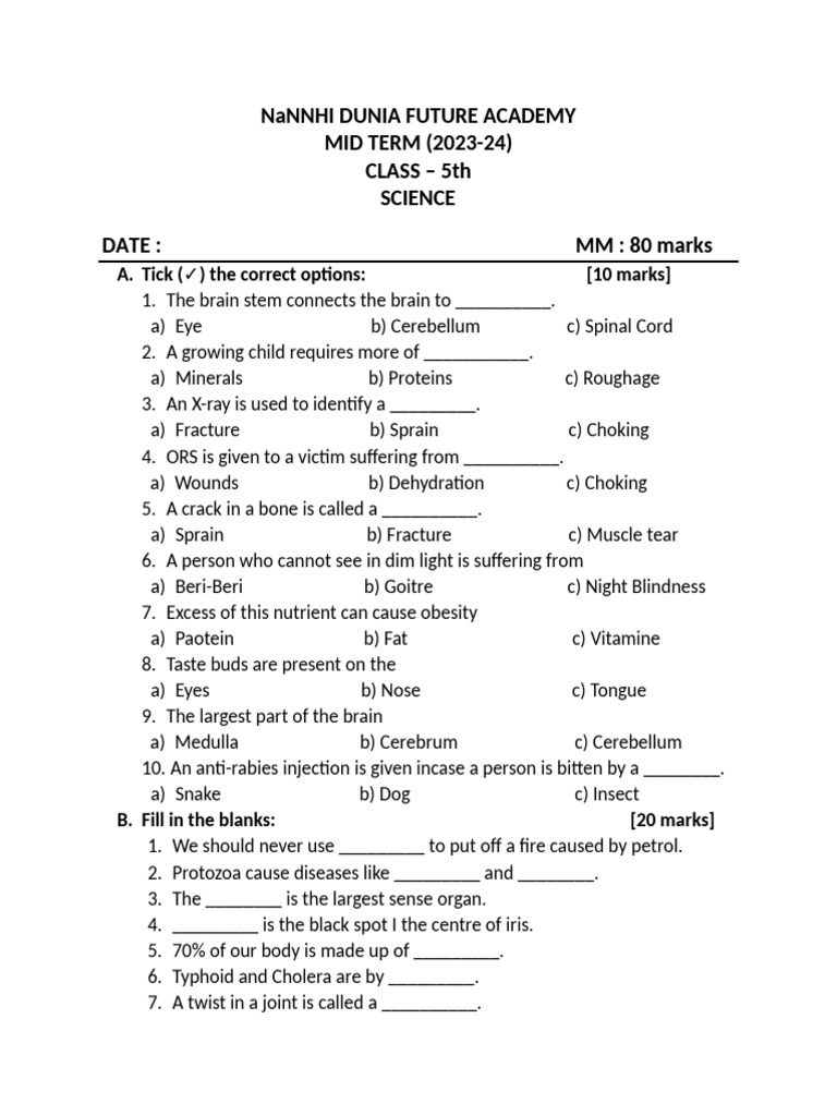 Class-4th MATHS MID TERM Paper | PDF | Vitamin | Brainstem