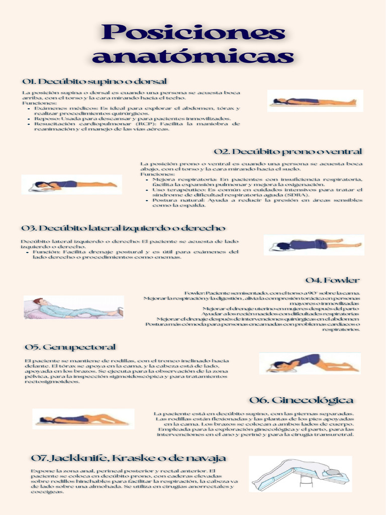 Infografía Posiciones Anatómicas | PDF