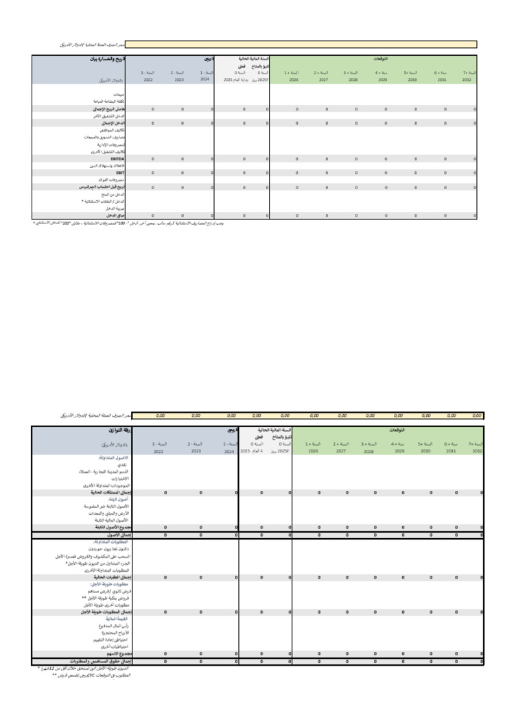 26thCFC CIIFBalanceSheet IncomeStatement ARABIC | PDF