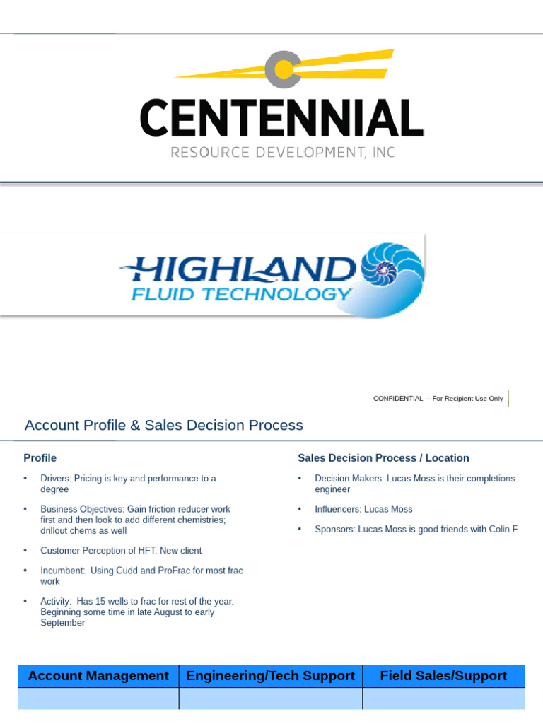 Account Profile & Sales Strategy Overview | PDF | Business | Marketing