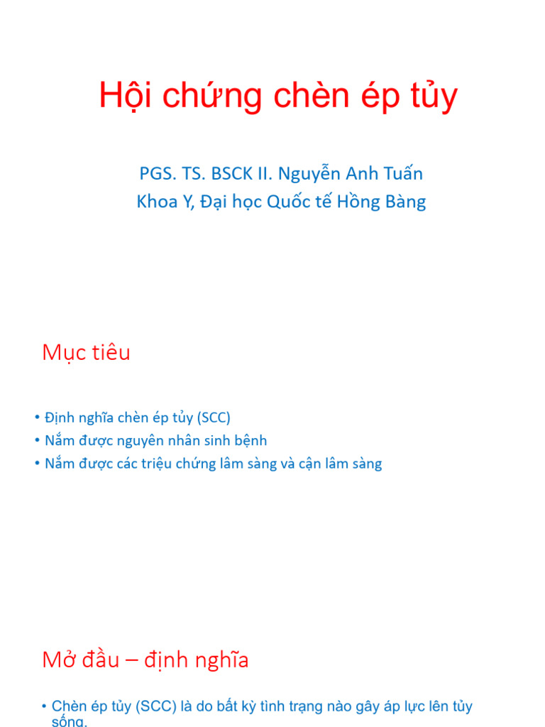 H I CH NG CHÈN ÉP TU | PDF