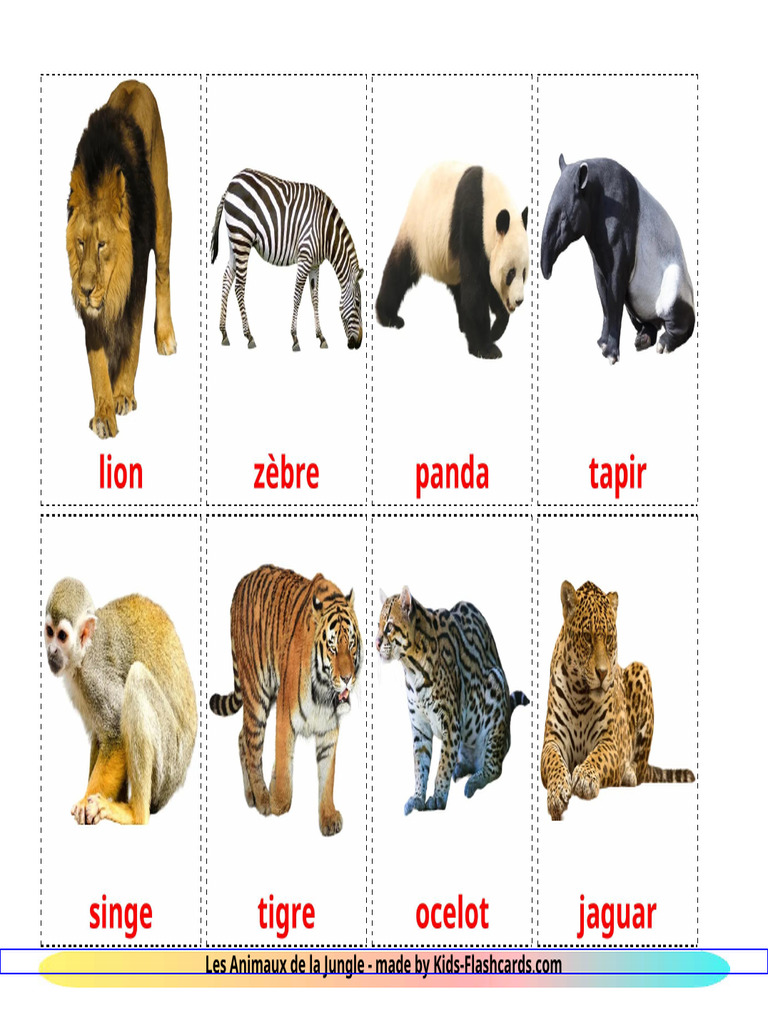 Les Animaux de La Jungle 8 A4 | PDF