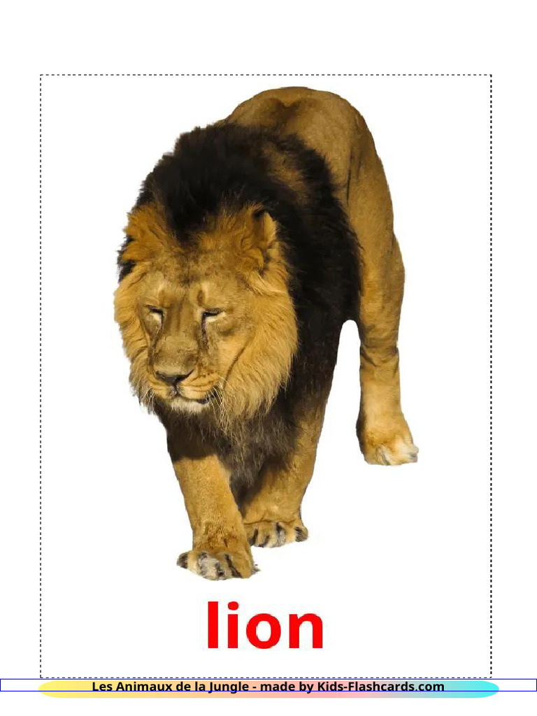 Jungle Animals Flashcards in French | PDF