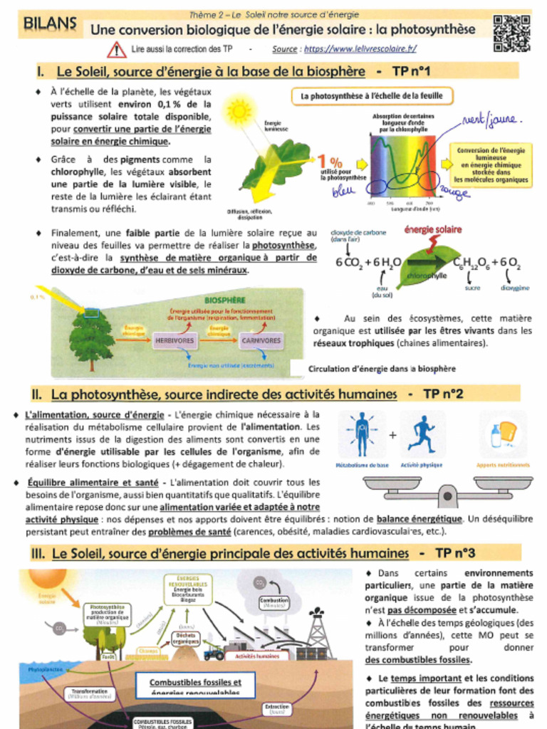 Bilan | PDF