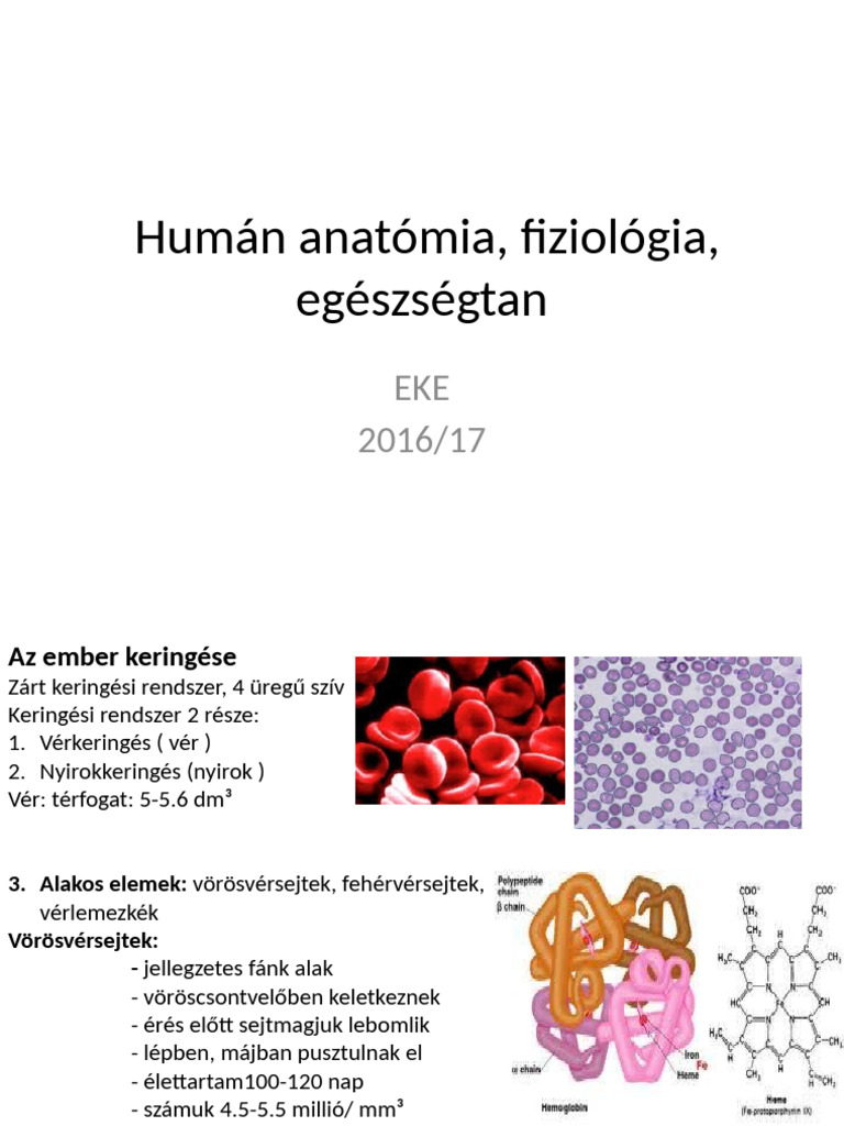 HUMÁN VMT (1) | PDF