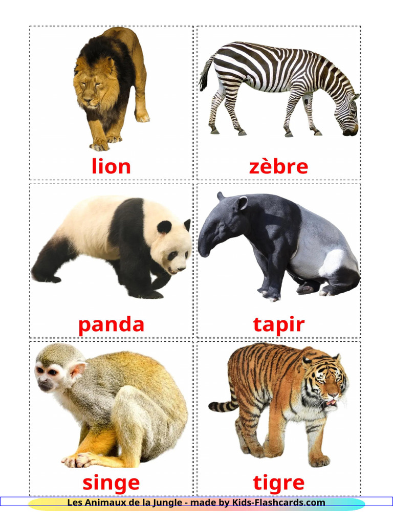 Liste des Animaux de la Jungle | PDF