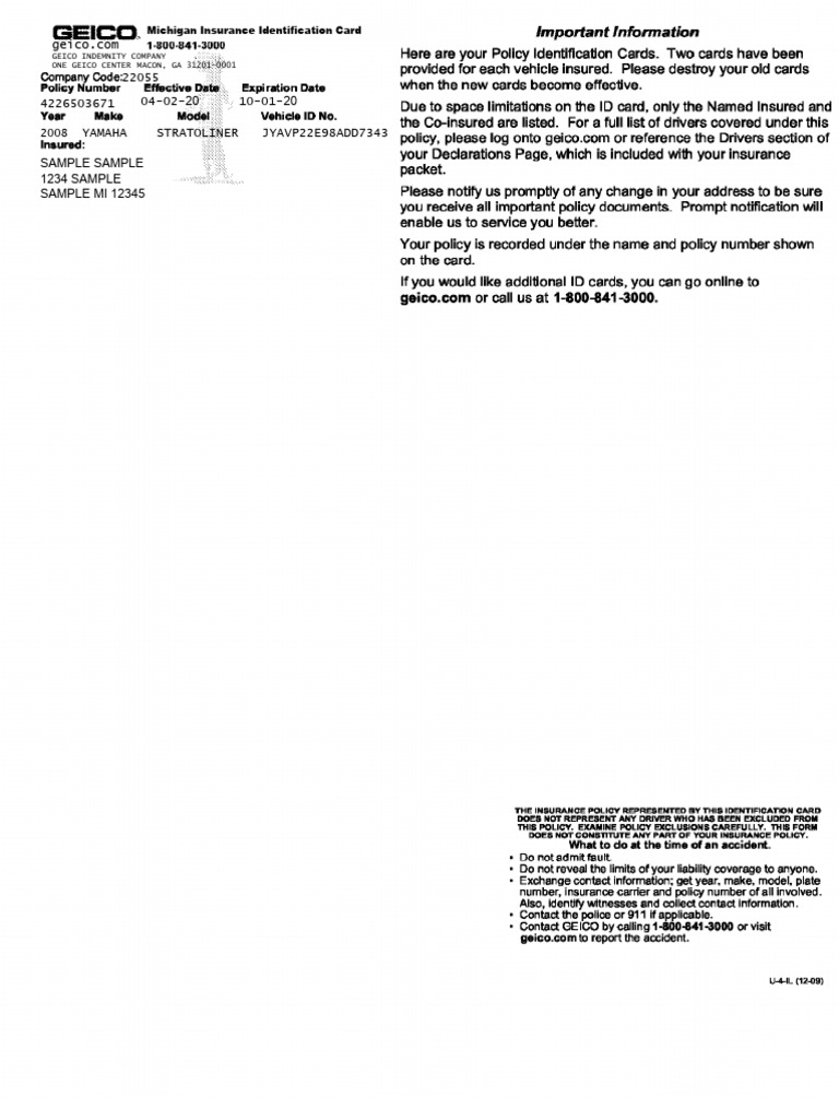 GEICO Template | PDF