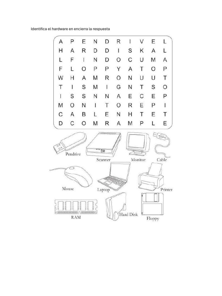 Actividad Hardware y Software | PDF
