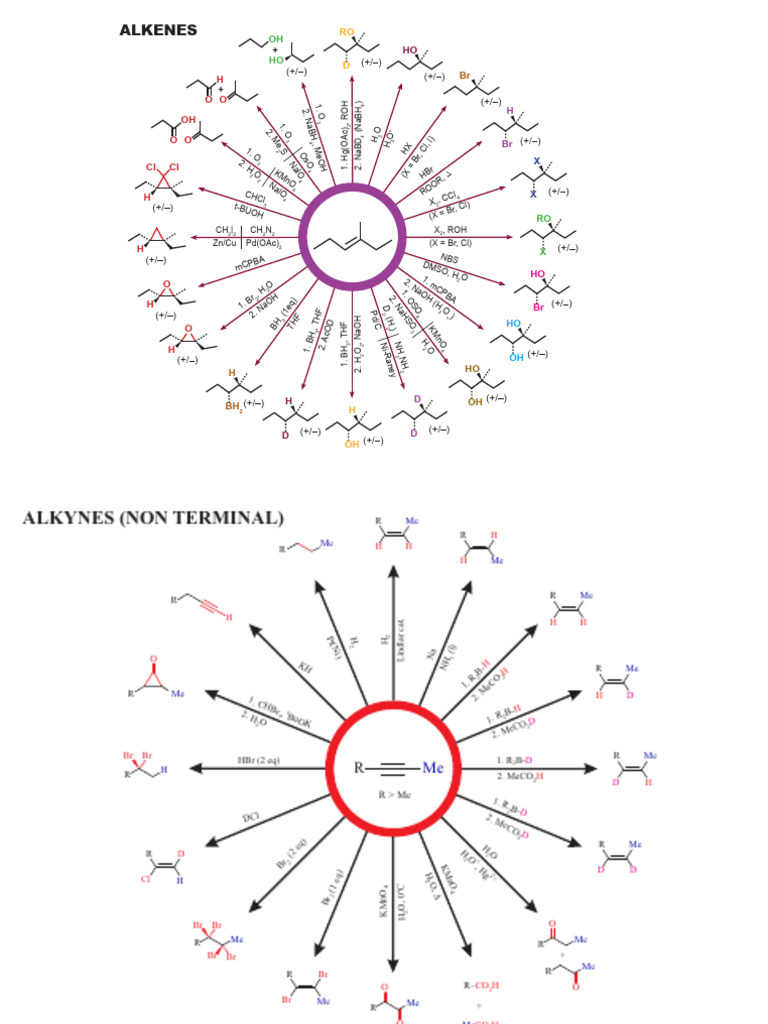 NCERT Organic Mind Map | PDF | Ester | Amine