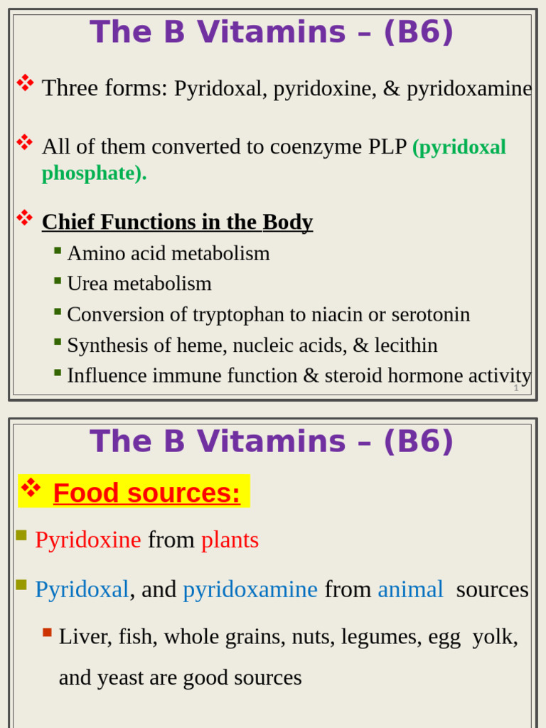 Lecture Series Tu Vitamin 6 B6 Pdf