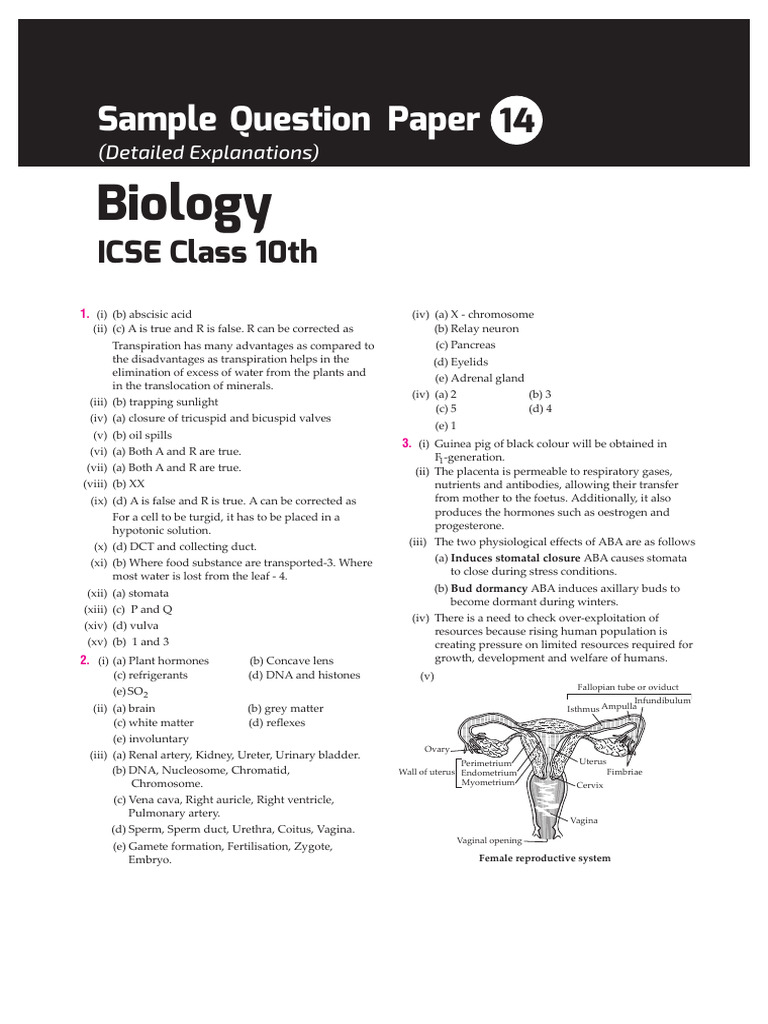 ICSE Sample Paper 14 Sol Bio. 10th 24 | PDF | Kidney