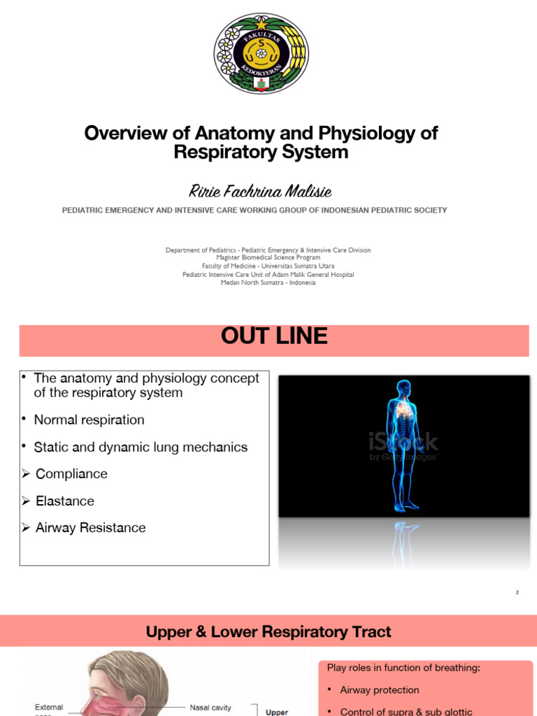 Overview of Anatomy and Physiology of Respiratory System-1 | PDF ...