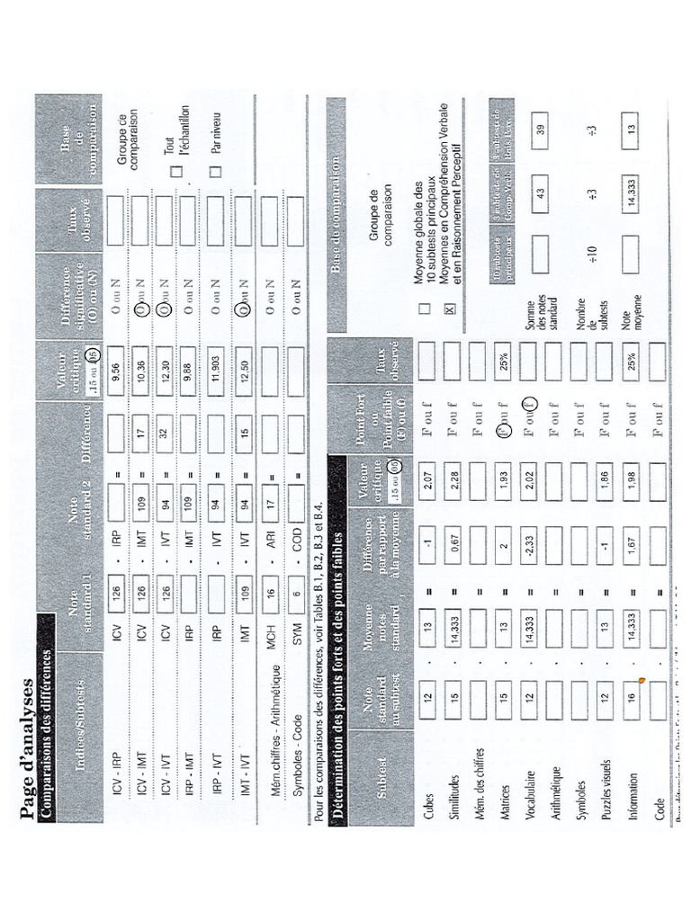 Page Analyse WAIS | PDF