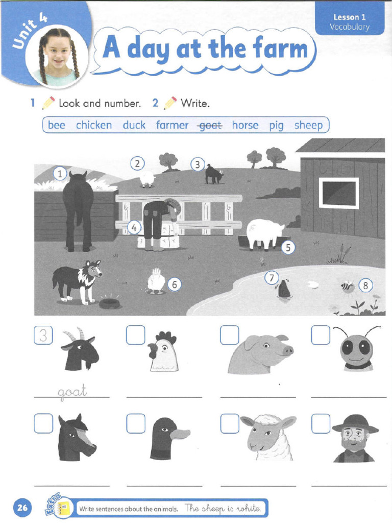 All About Us 2 Activity Book 27 34 | PDF