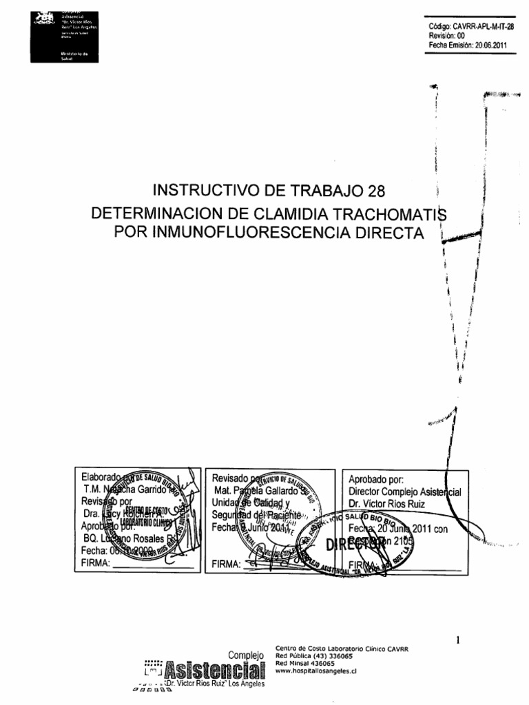 Instructivo Trabajo Nº28 | PDF