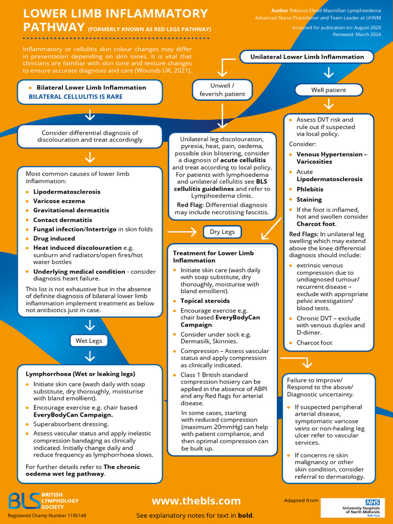 2120_iPDF_Lower-Limb-Inflammatory-Pathway-2024-FINAL | PDF | Dermatitis ...