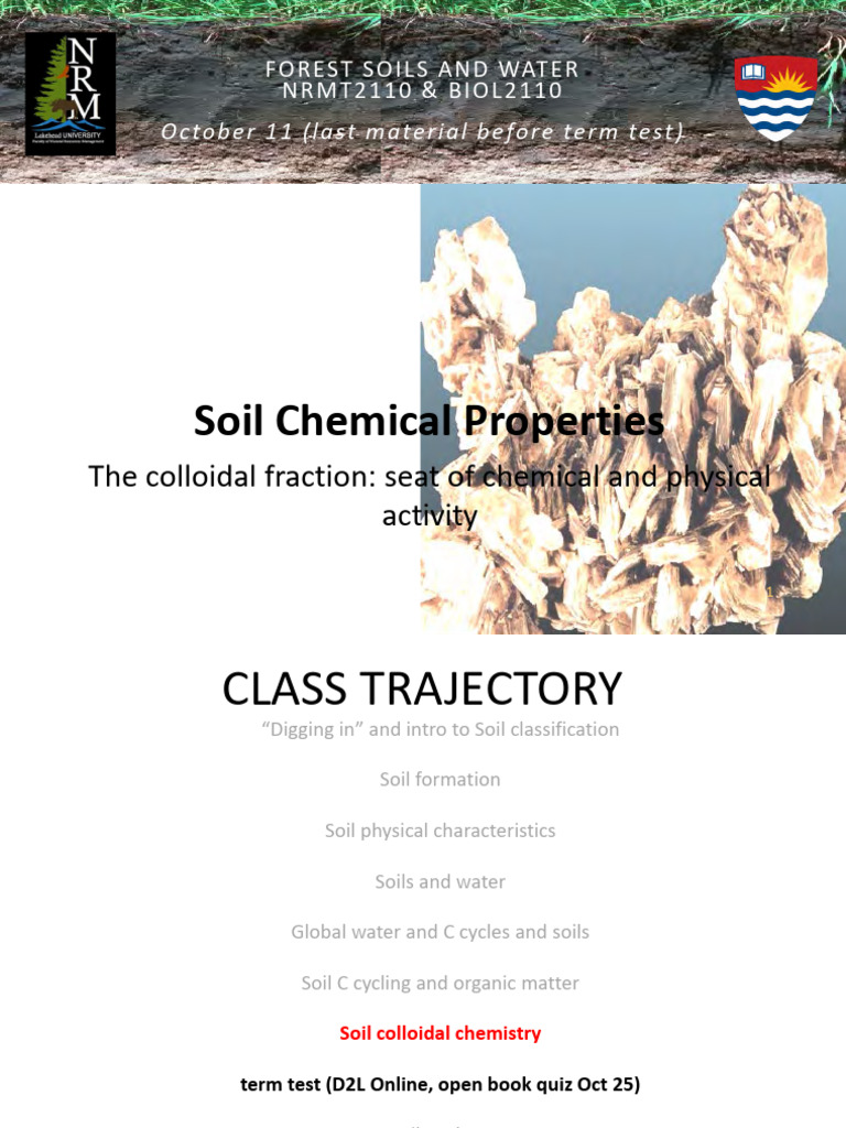 Soils T5 - Colloidal Soils | PDF | Soil | Minerals