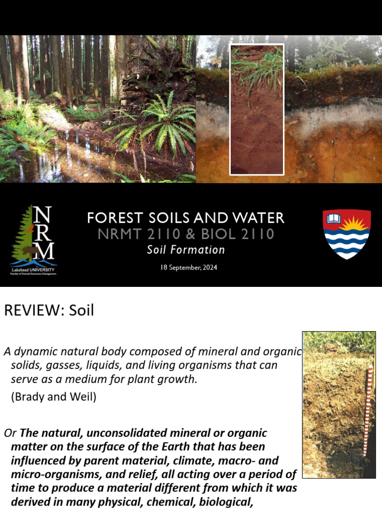 Soils T2- Soil Formation | PDF | Weathering | Soil