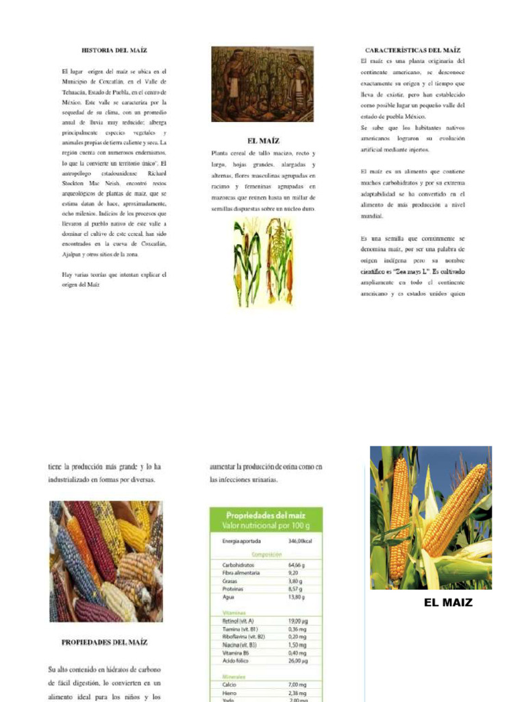 EL_MAIZ[1] | PDF