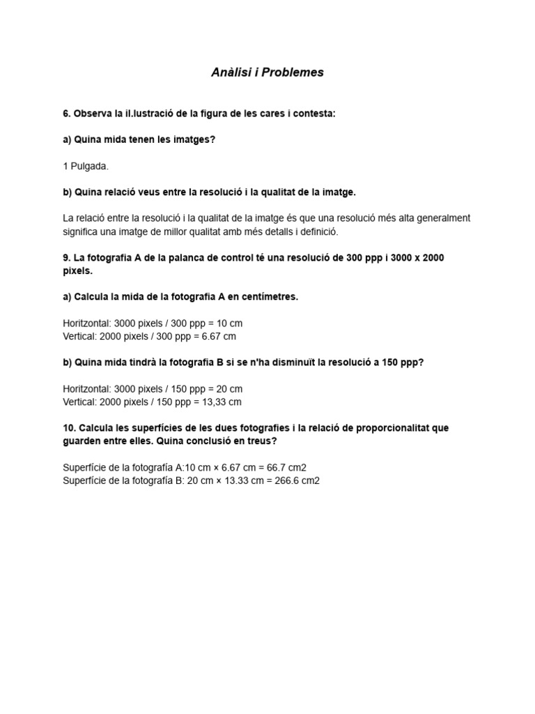 Anàlisi Problemes | PDF