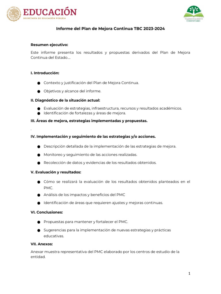 Formato de Informe Por Entidad PMC 2023-2024 | PDF