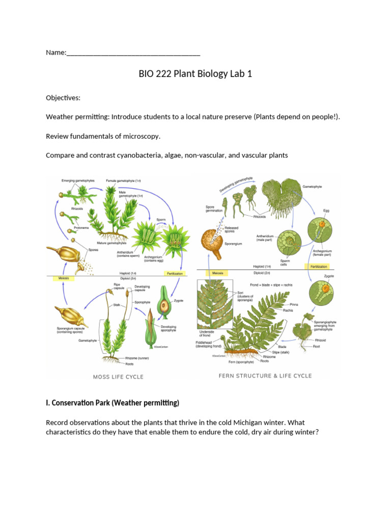 Lab 1 BIO 222 Plant Biology-1 | PDF | Moss | Plants