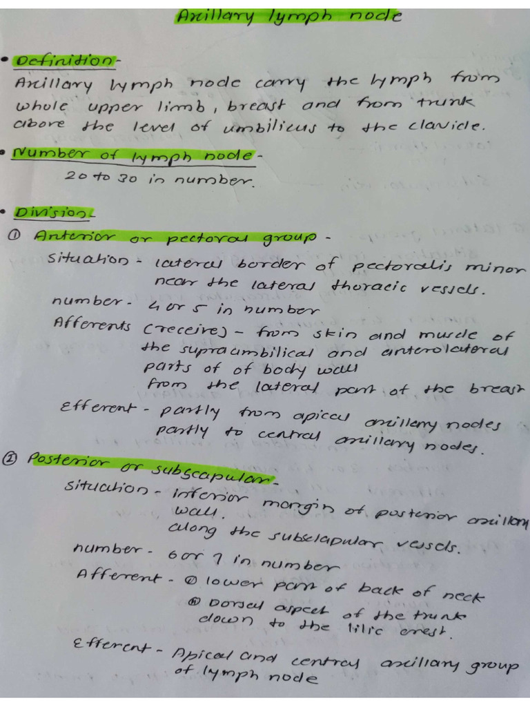 Axillary Lymph Nodes SAQ 5 Marks | PDF