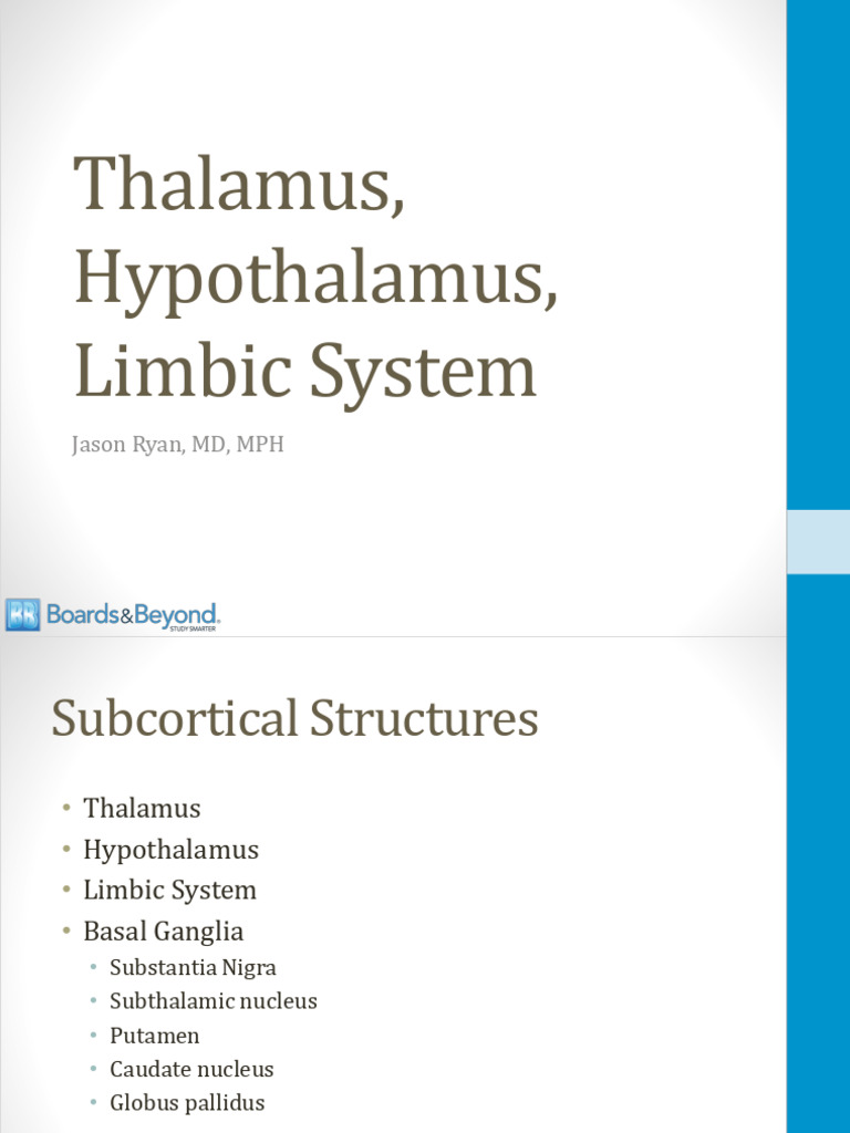 Thalamus Hypothalamus Limbic System Atf Pdf Hypothalamus Thalamus