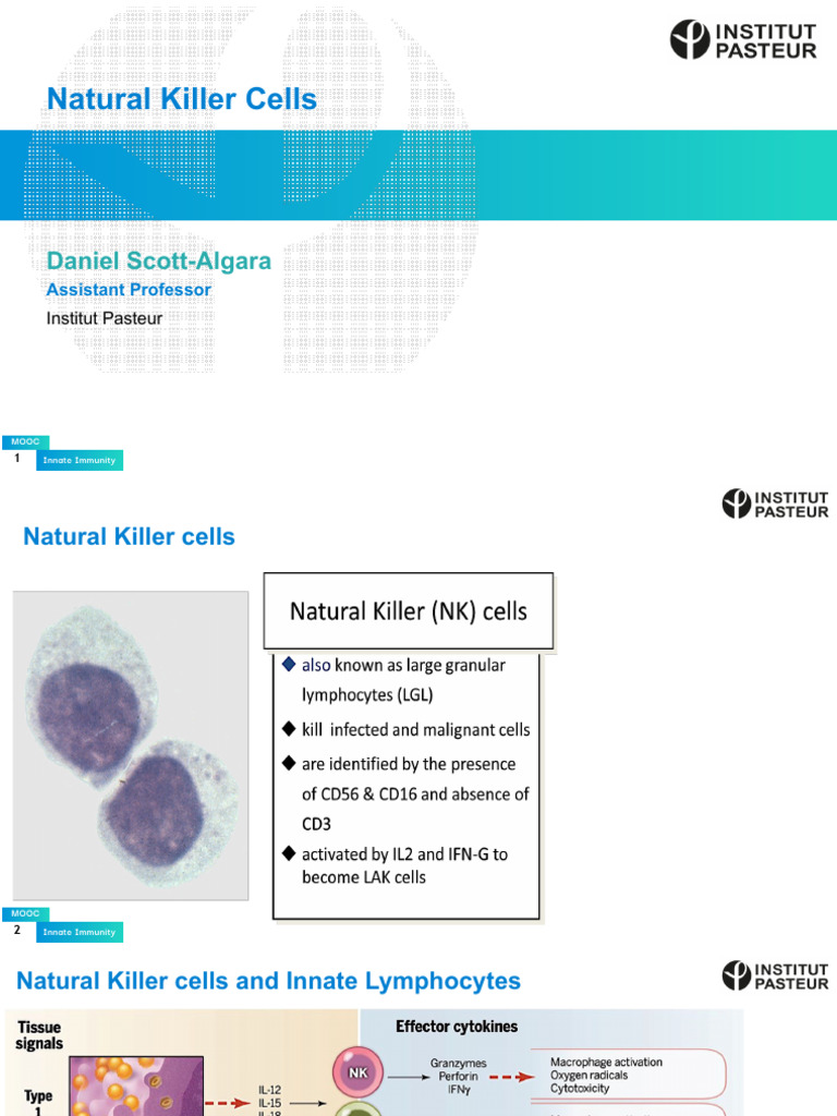 DSA-NK - Innate - Immunity - 2023 S1-3 | PDF