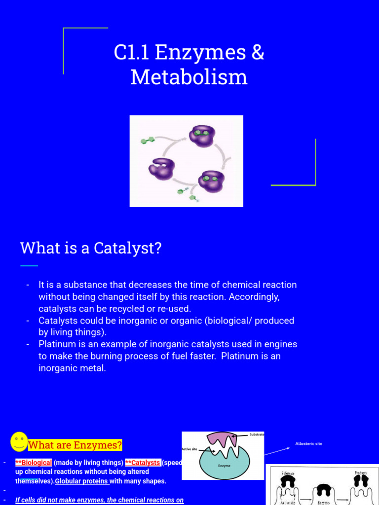 C1.1 Enzymes & Metabolism | PDF | Enzyme Inhibitor | Enzyme