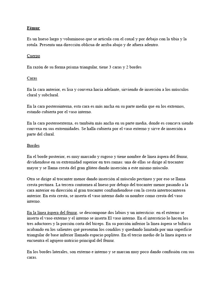 Anatomía del Fémur y Húmero | PDF | Sistema musculoesquelético ...