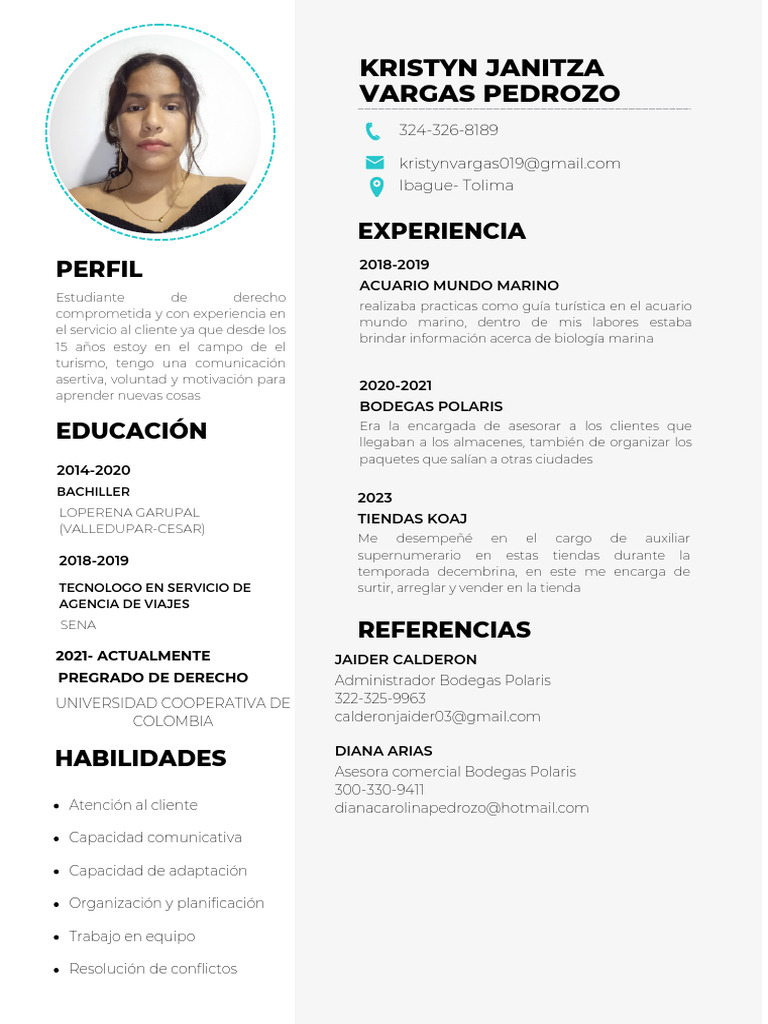 Hoja de Vida Kris | PDF