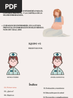 Place Diada Fetal | PDF | El embarazo | Parto