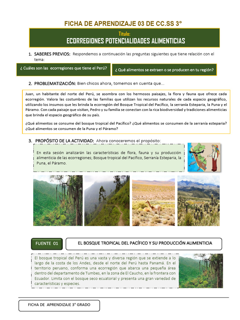 3 FICHA DE APRENDIZAJE CCSS 3° GRADO (1) | PDF | Fauna | Carne