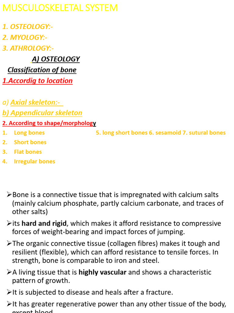 Musculoskeletal System Overview | PDF | Bone | Osteoblast