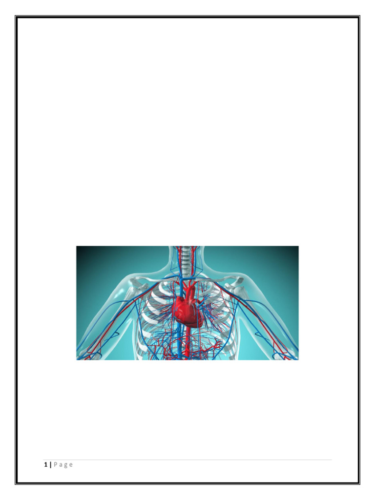 3 - Cardiovascular System Examination | PDF | Heart | Cardiology