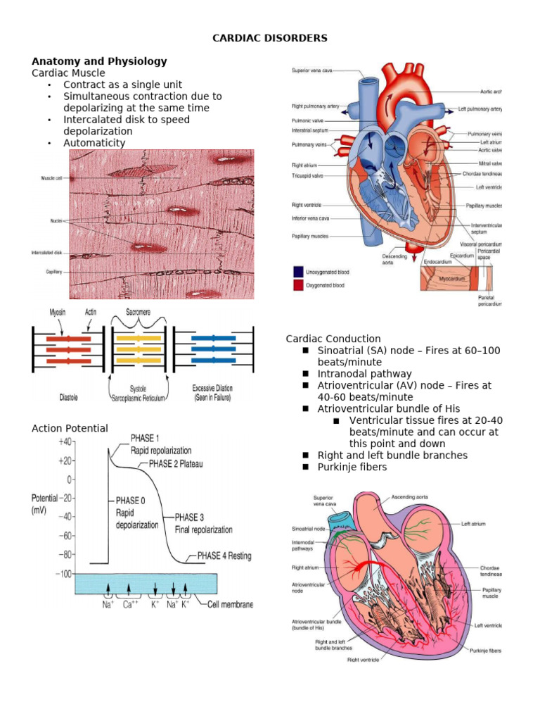 Cardiac Disorders | PDF | Heart | Myocardial Infarction