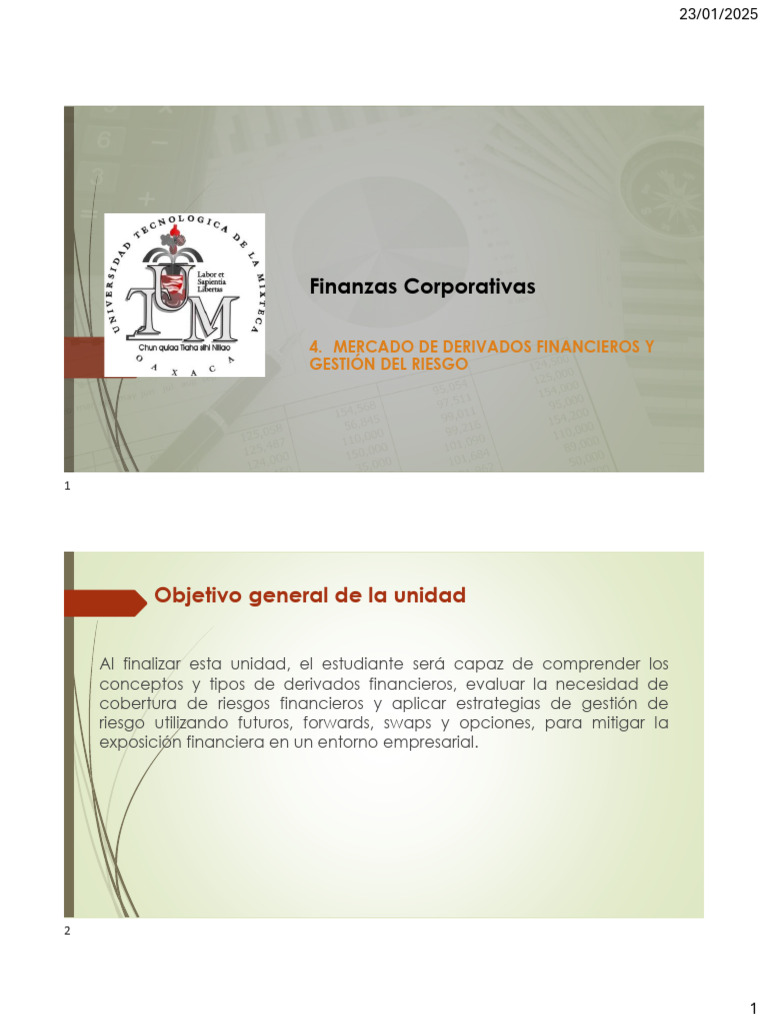 Derivados Financieros y Gestión de Riesgos | PDF | Opción (Finanzas ...