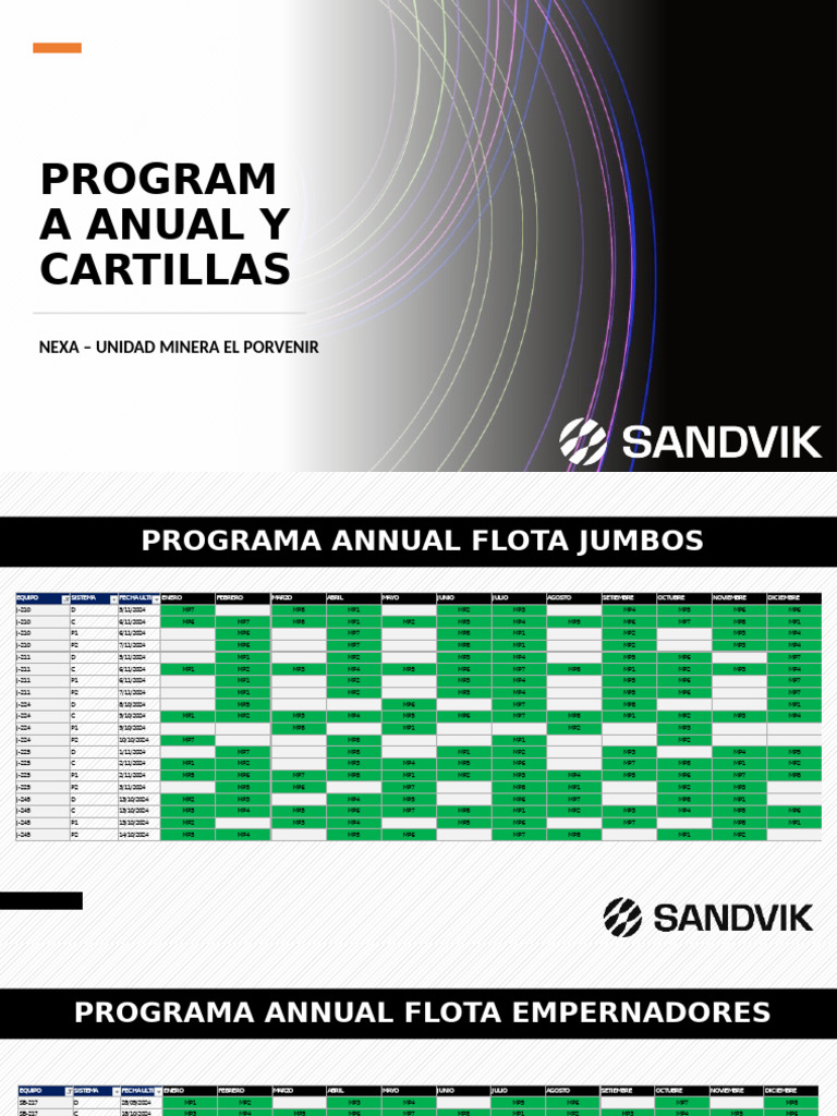 PROGRMA ANUAL-CARTILLAS | PDF
