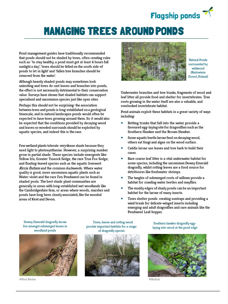 Managing-Trees-around-ponds-NEW | PDF | Habitat | Trees