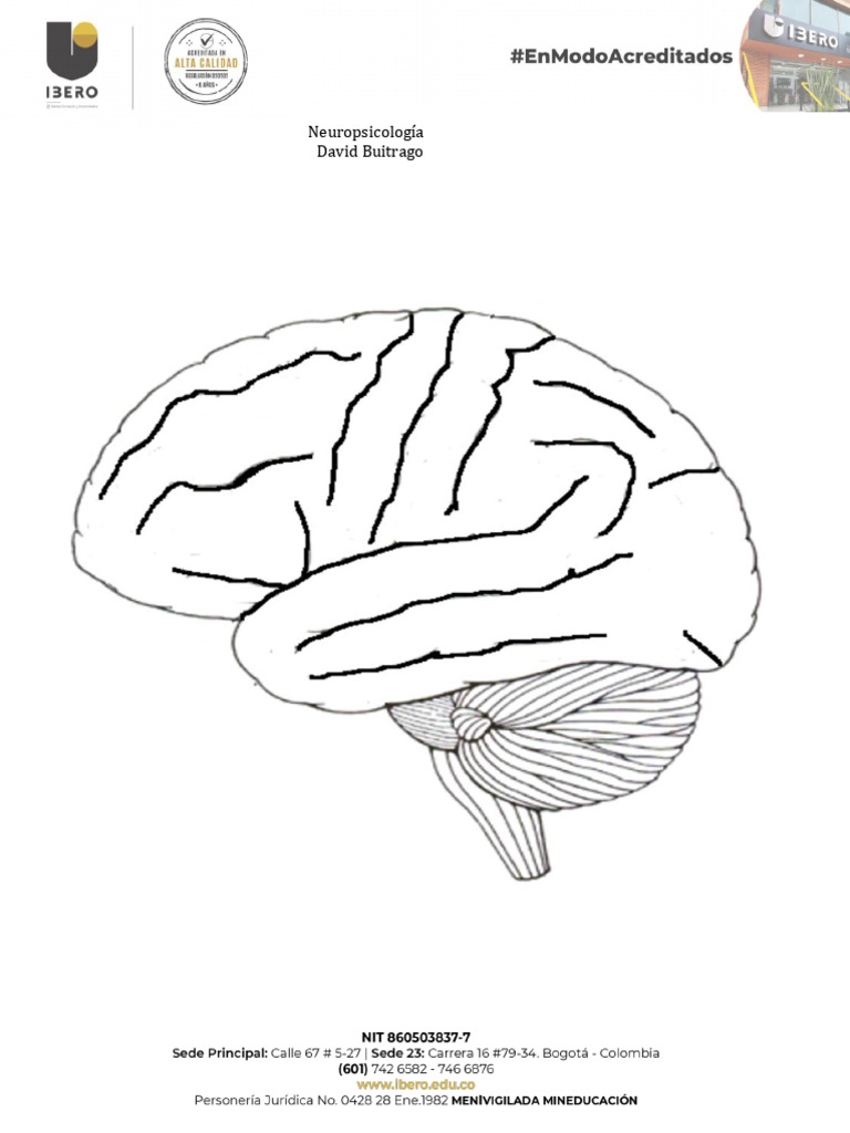 Material Pedagogico 2 | PDF