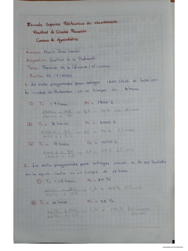 P1_GARCIA_ASINCRONICA_2 EJEMPLOS DE EFICIENCIA | PDF