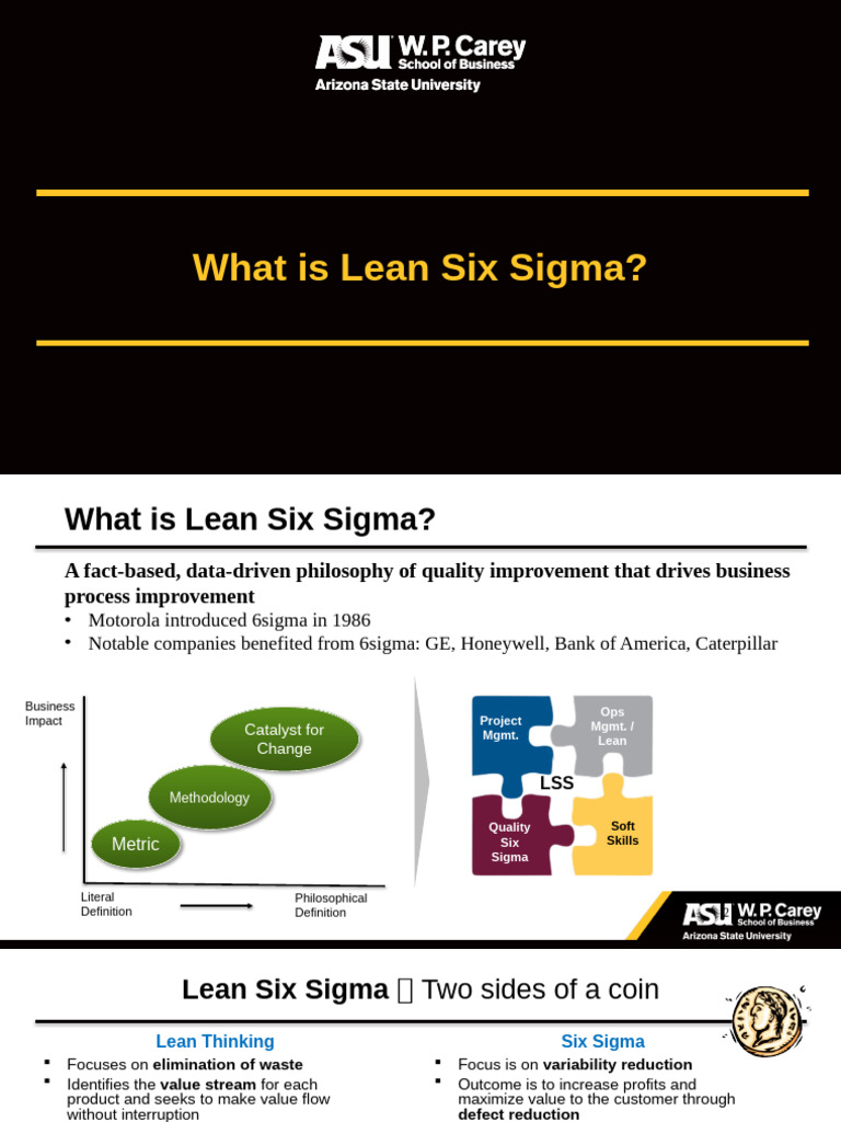 Lean Six Sigma | PDF | Sampling (Statistics) | Six Sigma