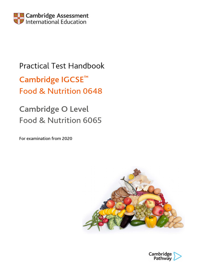 6065 Practical Test Handbook (For Examination From 2020) | PDF ...