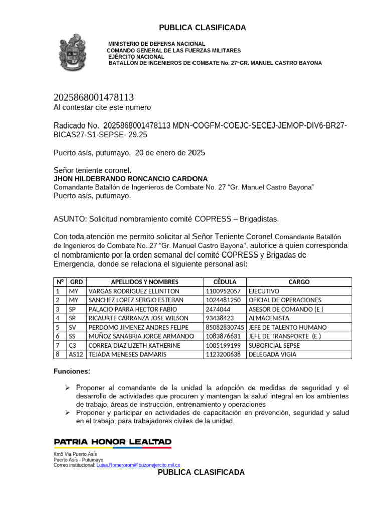 Nombramiento Comité COPRESS BICAS 27 | PDF | Primeros auxilios