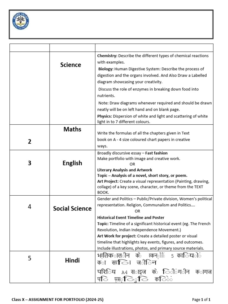 Class X Portfolio Assignment Guide | PDF | The Arts
