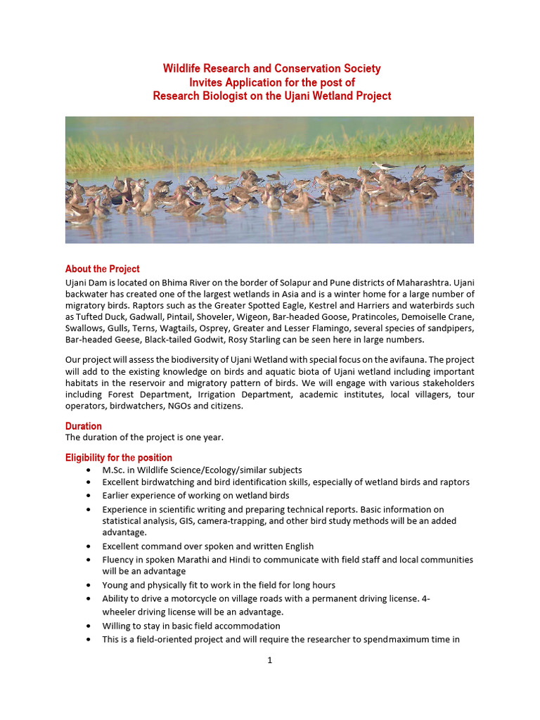 Ujani Project Research Biologist - January 2025 | PDF | Birds | Ornithology