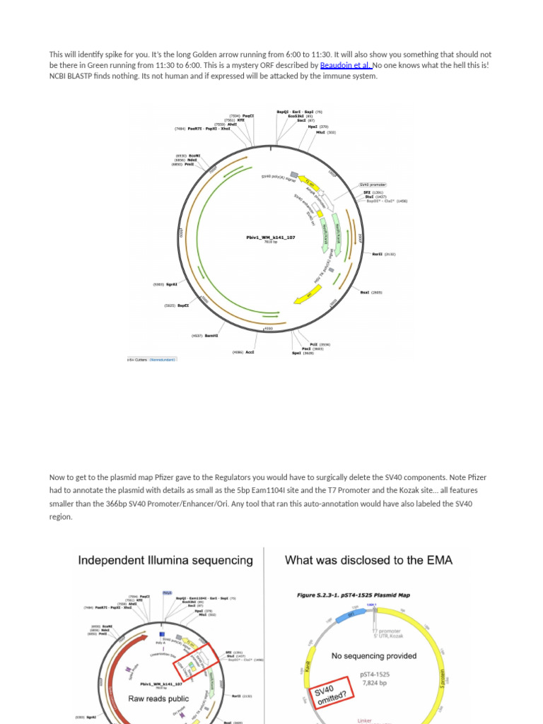 Pfizer Intent To Deceive | PDF