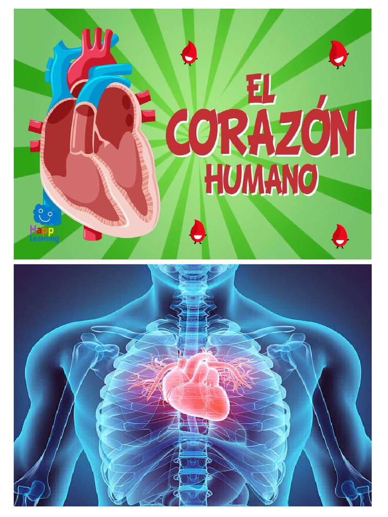 El Corazon (2) | PDF