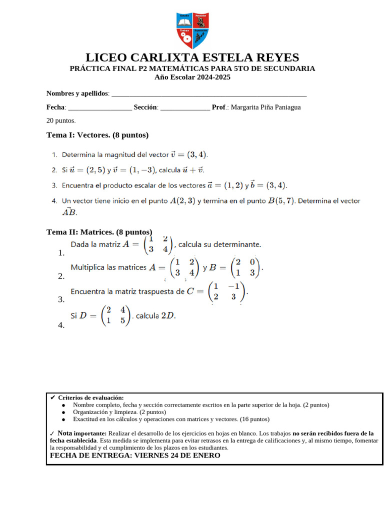Práctica Final P2. Mat | PDF